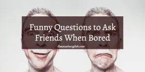 120 Funny Questions to ask Friends When Bored – Best FB Status