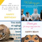 Funny Introductions About Yourself Examples – Best FB Status