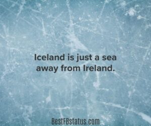 145 Funny Jokes to Post on Facebook (2024) – Best FB Status