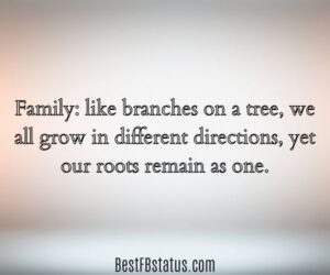 163 Delightful Family Captions for Facebook in English (2024) – Best FB ...
