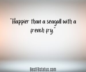243 Summer Captions To Boost Your Pics – Best FB Status