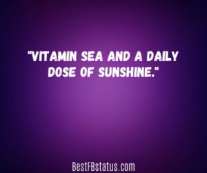 243 Summer Captions To Boost Your Pics – Best FB Status