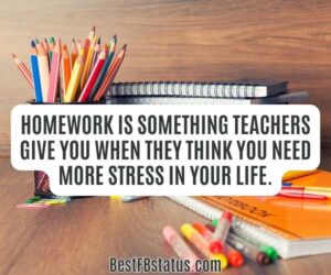 86 Heartwarming Teacher Appreciation Quotes to Express Gratitude – Best ...