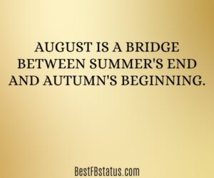 225 Month of August Quotes to Brighten Up Your Summer Days – Best FB Status