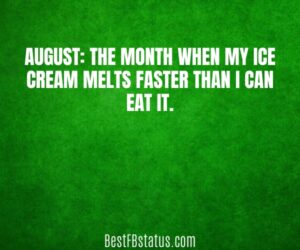 225 Month of August Quotes to Brighten Up Your Summer Days – Best FB Status