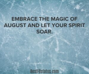 225 Month of August Quotes to Brighten Up Your Summer Days – Best FB Status