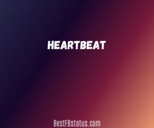 225 Inspiring One-Word Captions: Ideas for Every Occasion – Best FB Status