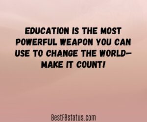 175 Encouraging Quotes For Students: Words of Wisdom to Ignite Their ...