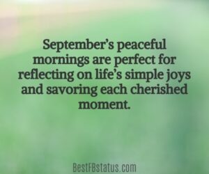 175 September Captions: Your Go-To List for Perfect Posts – Best FB Status