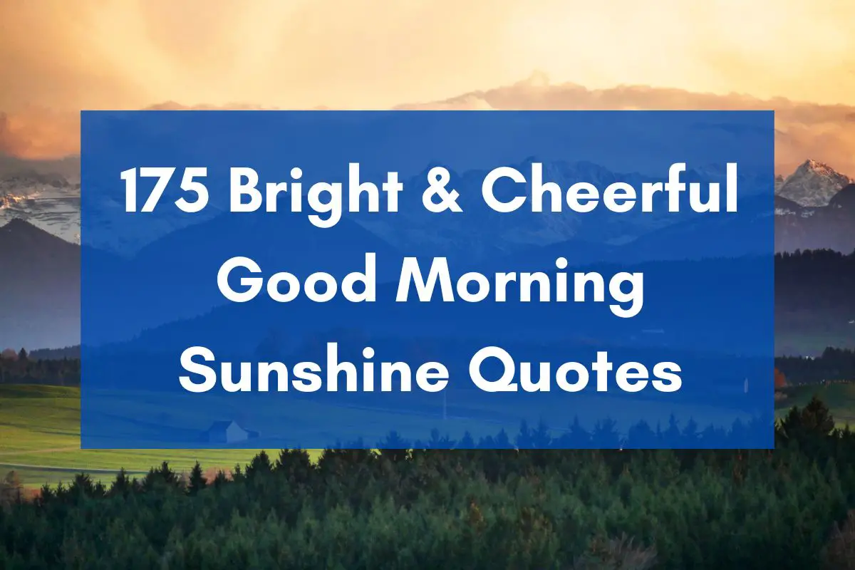175 Bright & Cheerful Good Morning Sunshine Quotes – Best FB Status