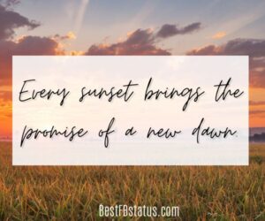 175 Short Meaningful Quotes to Inspire Your Day – Best FB Status