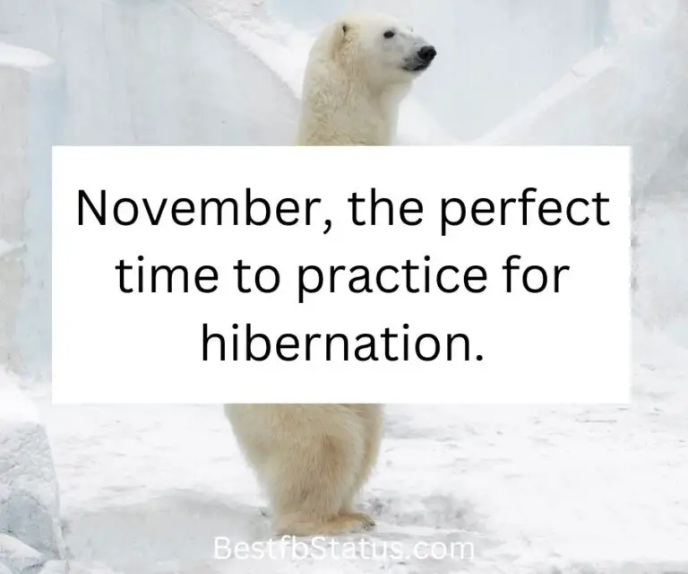 151 Inspiring November Quotes to Embrace the Fall Vibes – Best FB Status