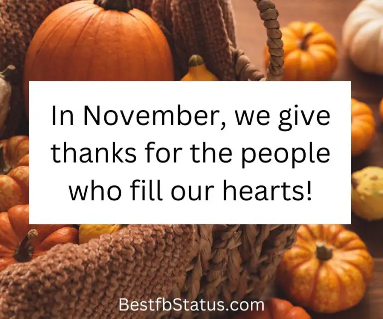 151 Inspiring November Quotes to Embrace the Fall Vibes – Best FB Status