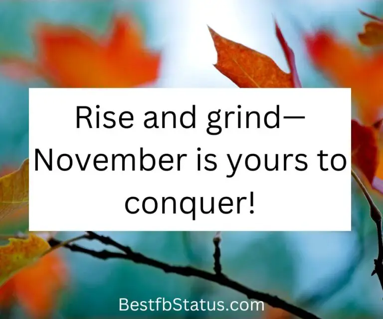 151 Inspiring November Quotes to Embrace the Fall Vibes – Best FB Status