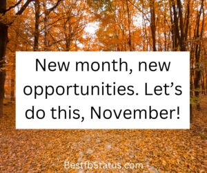 151 Inspiring November Quotes to Embrace the Fall Vibes – Best FB Status