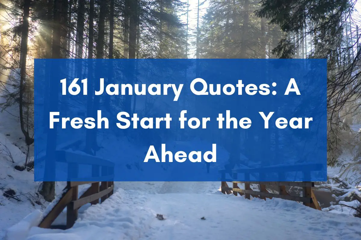 161 January Quotes: A Fresh Start for the Year Ahead – Best FB Status